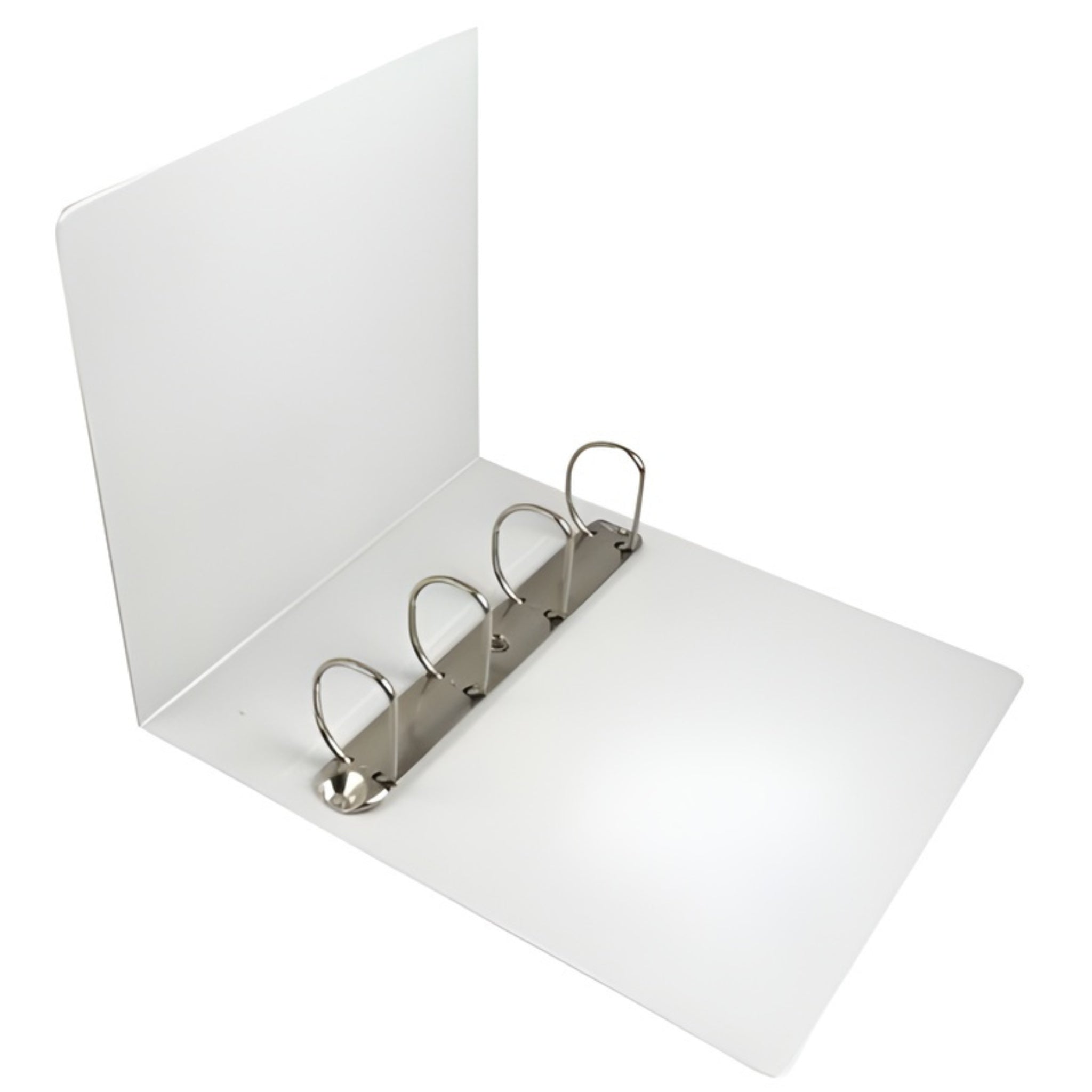 Bindex 4D Ring Presentation File